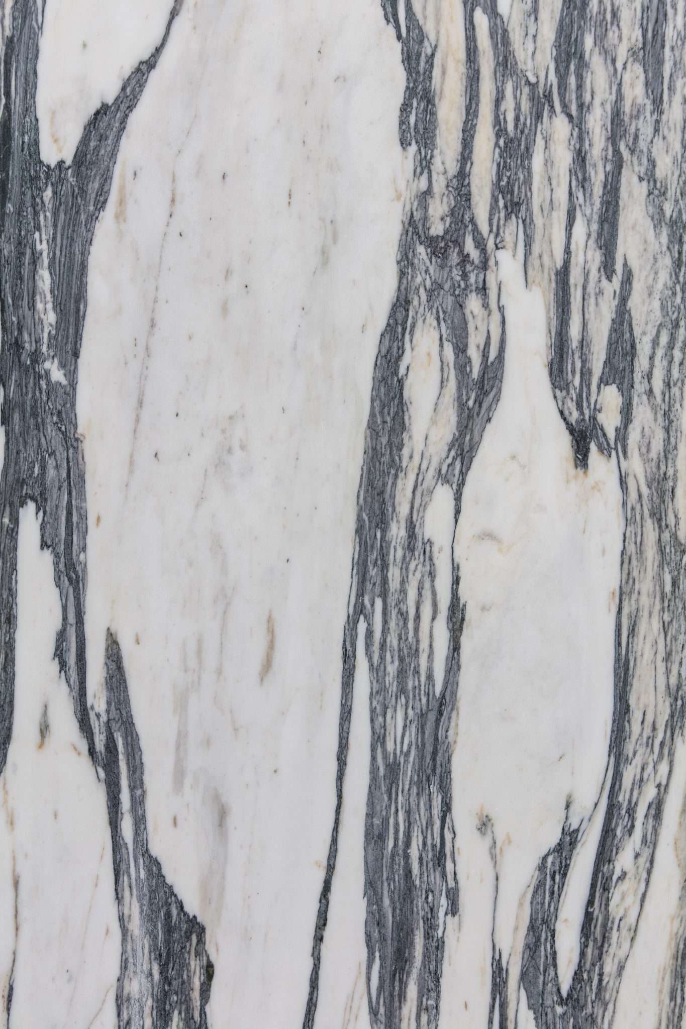 Collections – Natural Stone Los Cabos